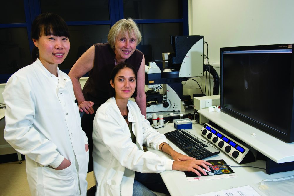 Professor Caroline Dean wins prestigious Women In Science Award