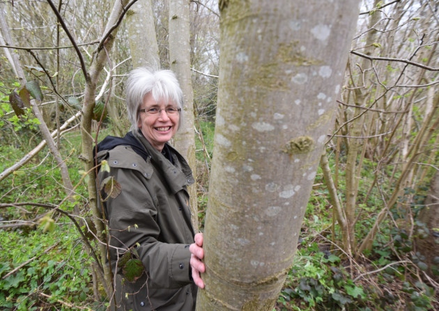 Dr Anne Edwards | John Innes Centre