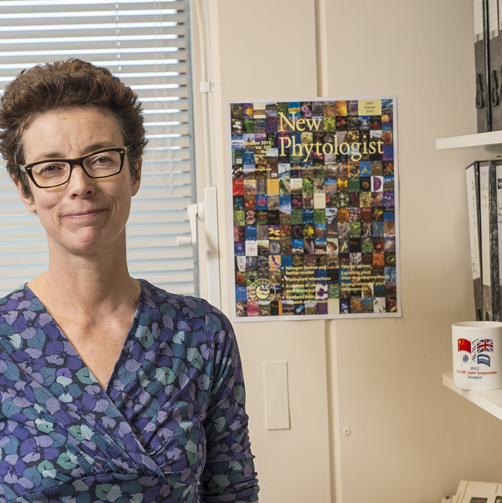 Professor Anne Osbourn | John Innes Centre