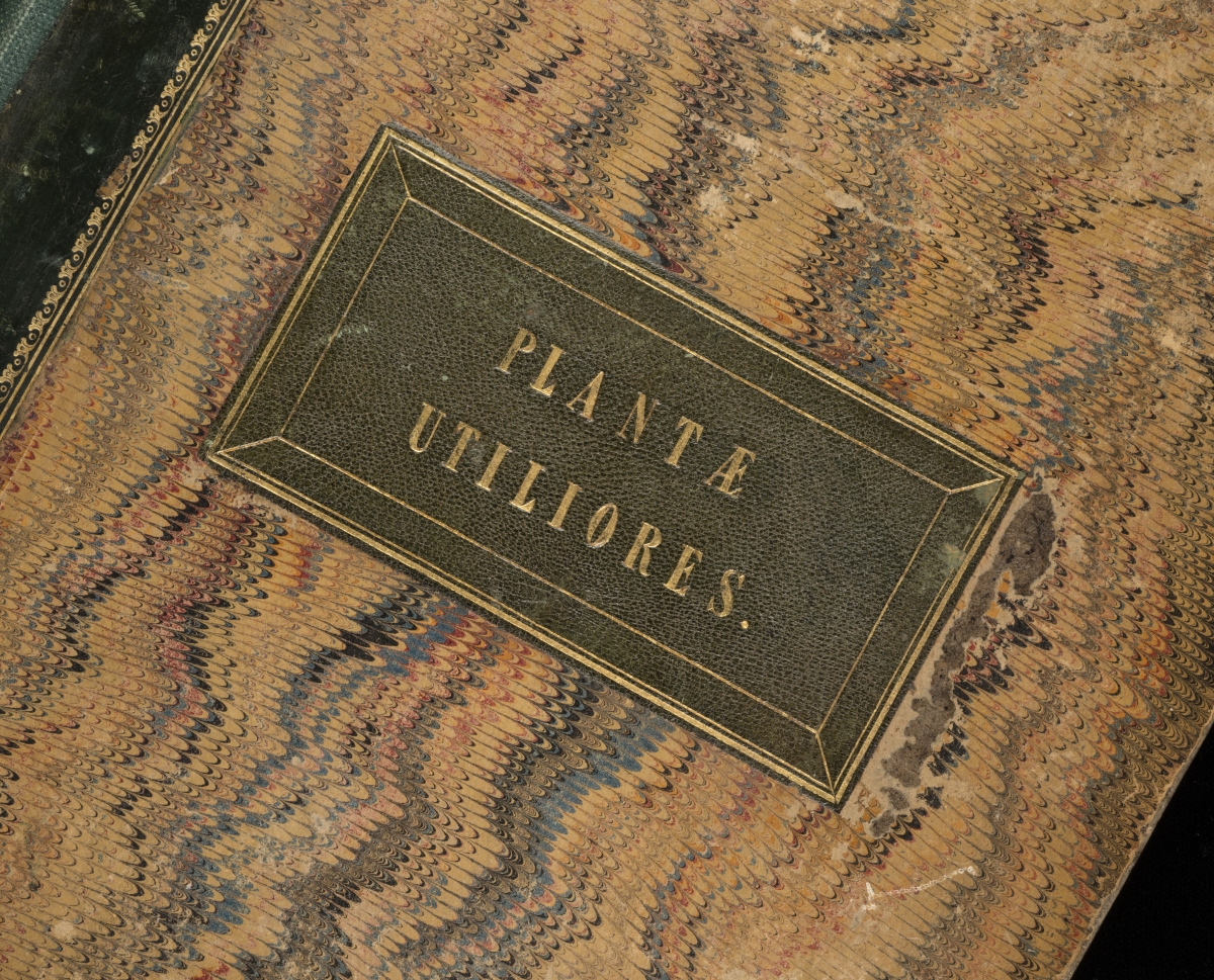 The collections | John Innes Centre