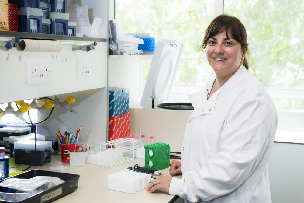 Early career researchers are the future of a European Research Area