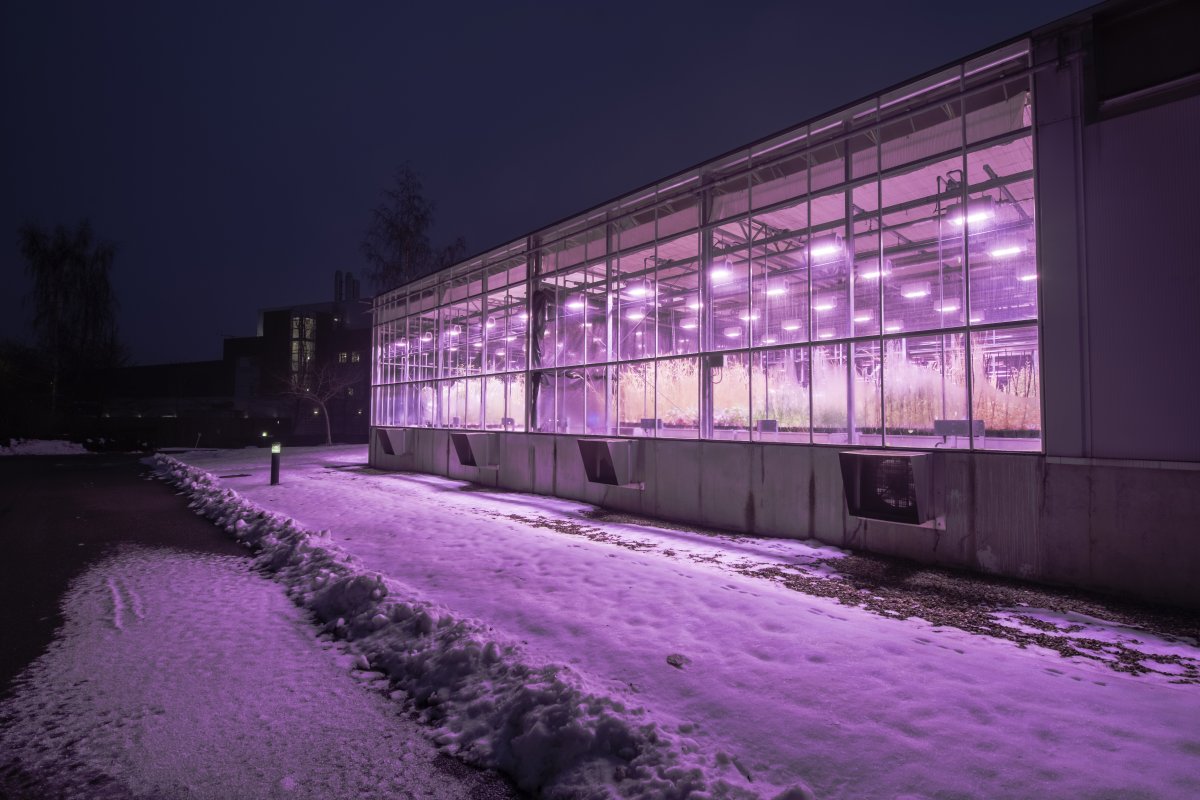 Scientific Facilities | John Innes Centre