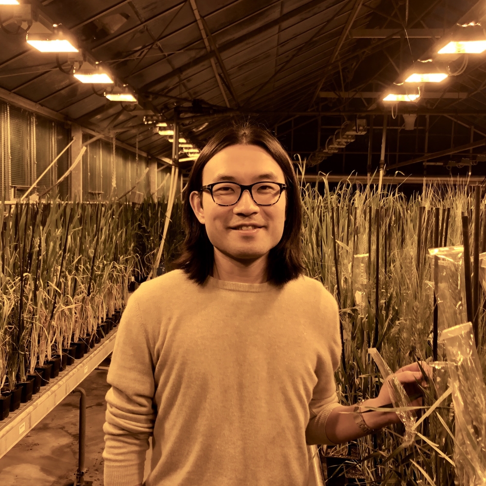 Dr David Seung | John Innes Centre