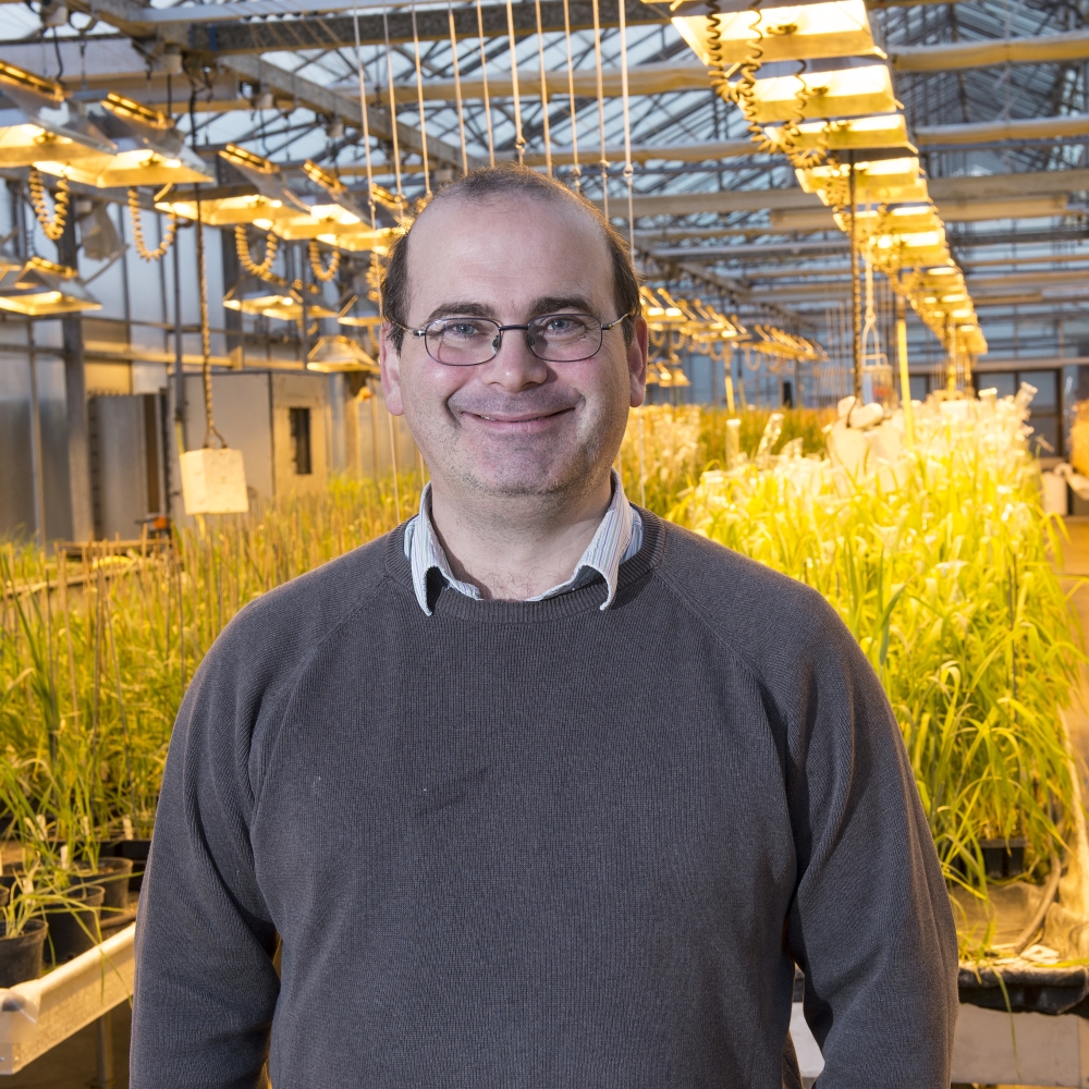 Dr Simon Griffiths | John Innes Centre