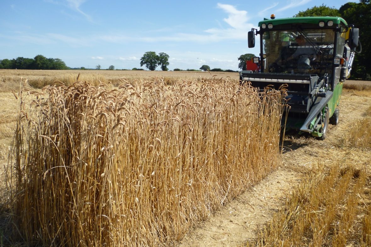 Boost for smart green farming innovation | John Innes Centre