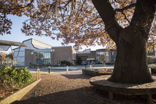 Information for staff | John Innes Centre