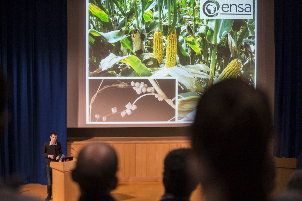 Past Friday Seminars | John Innes Centre