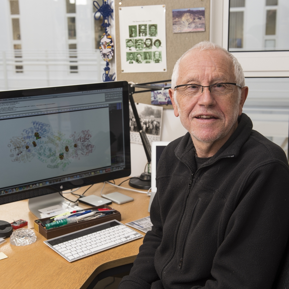 Professor Ray Dixon | John Innes Centre