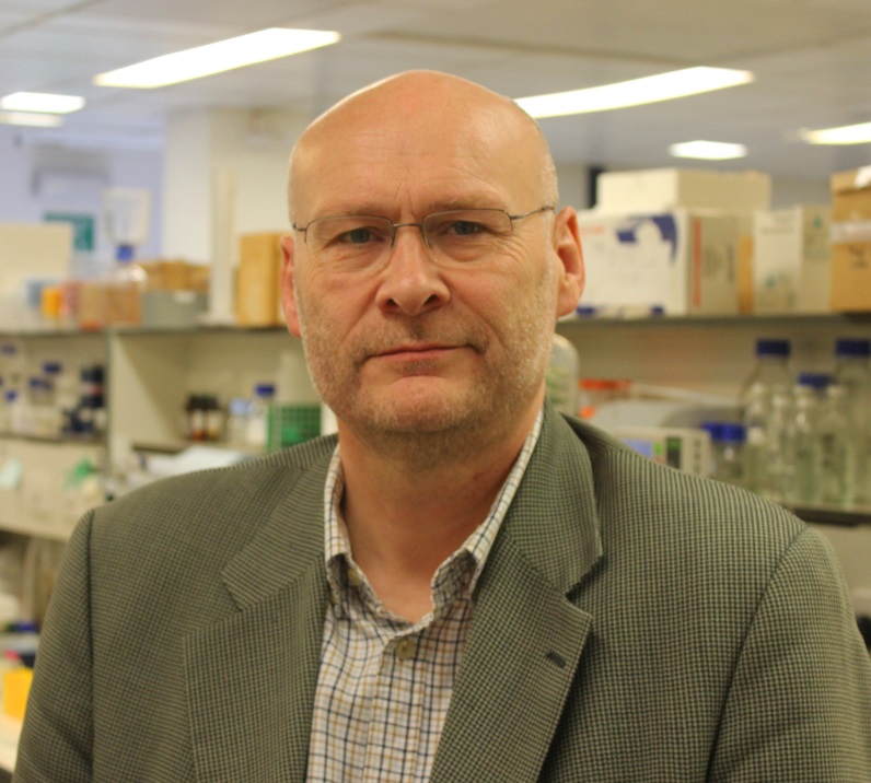 Rob Field Insurance at Joan Ruhl blog