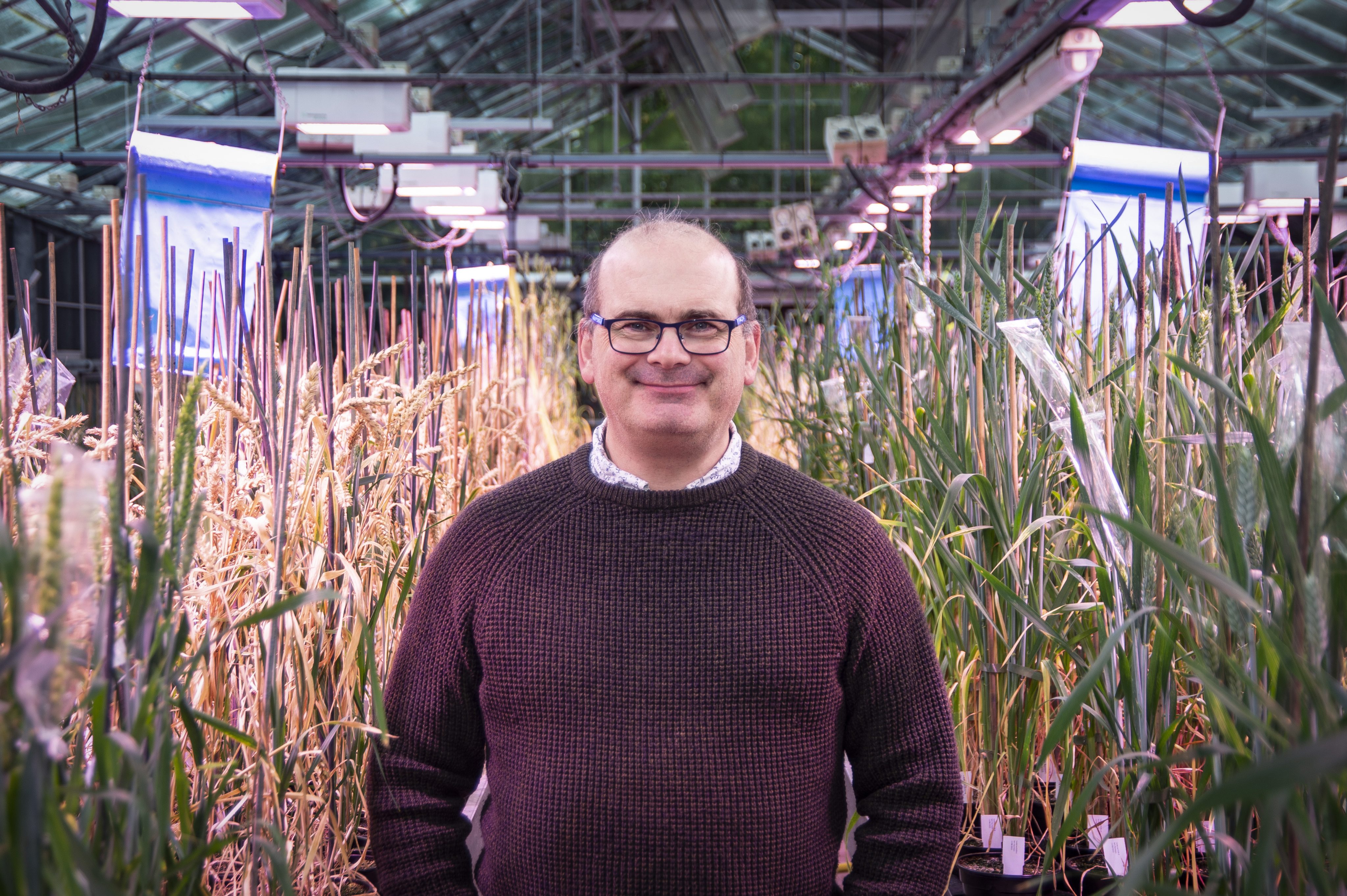 Dr Simon Griffiths | John Innes Centre