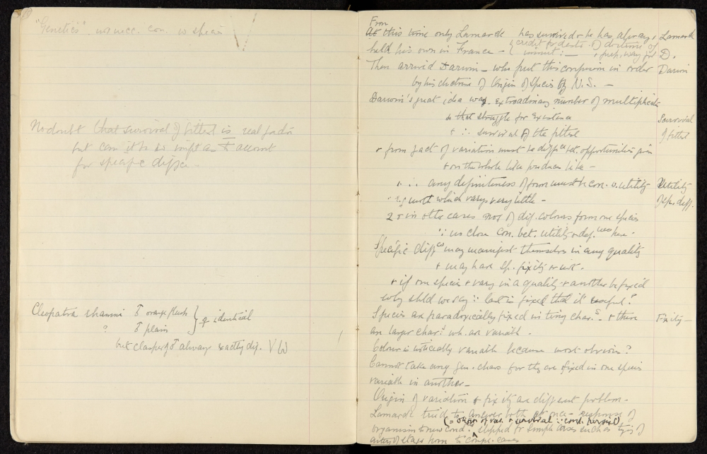 Notebook Transcription Project | John Innes Centre