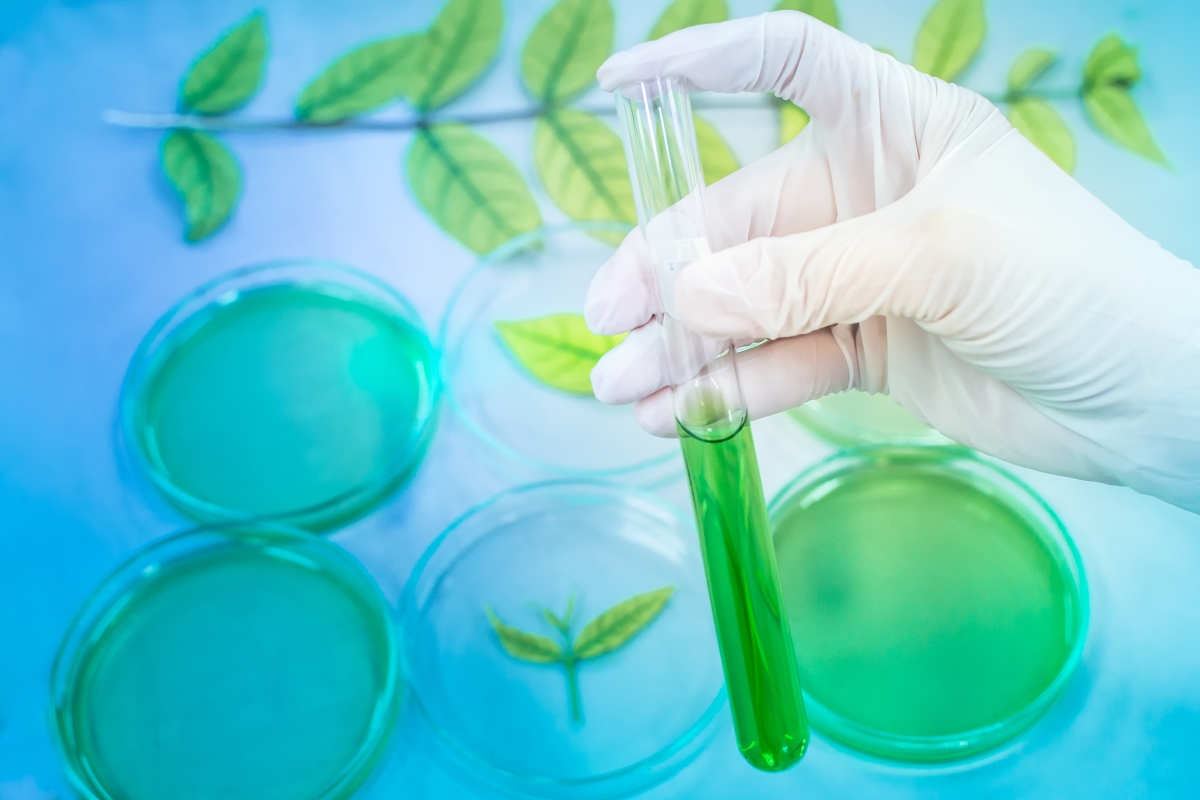 Why we need plant scientists | John Innes Centre