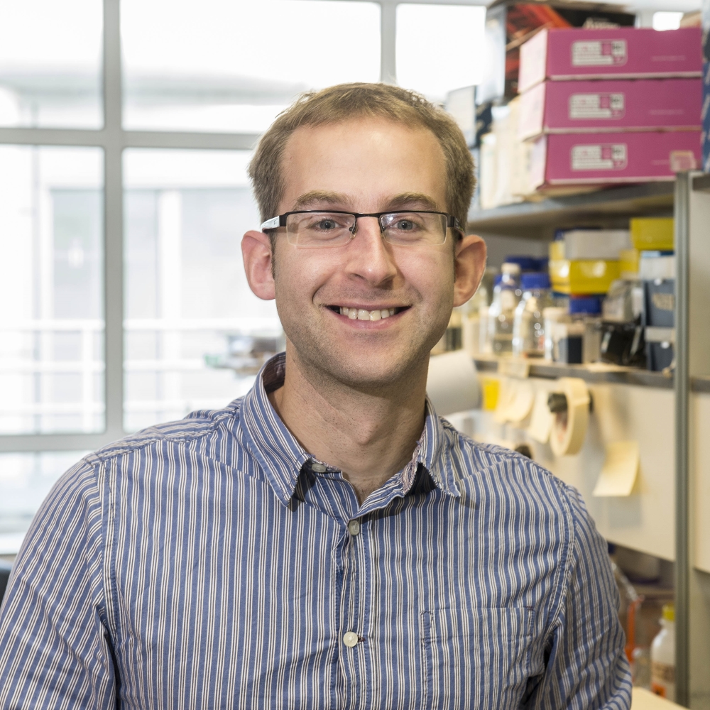 Royal Society university research fellow starts | John Innes Centre