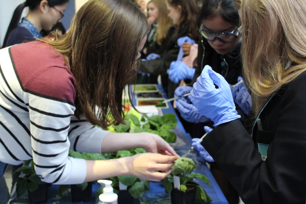 The story of Women of the Future 2018 | John Innes Centre