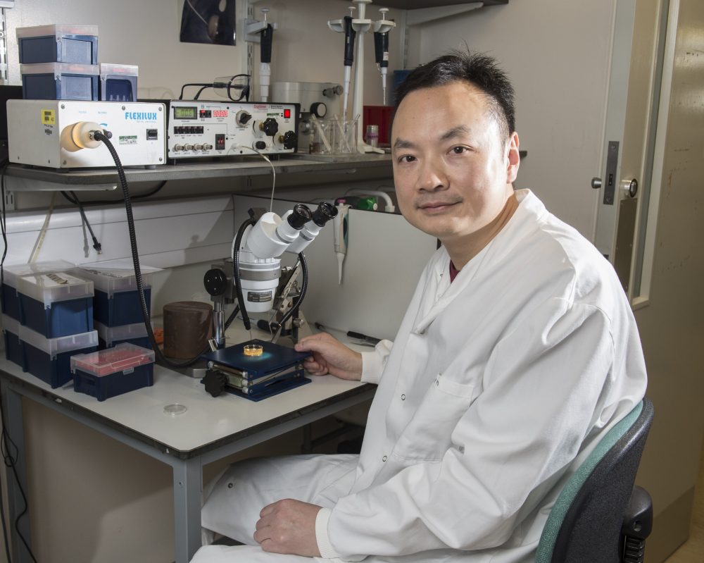 Dr Yi Chen | John Innes Centre