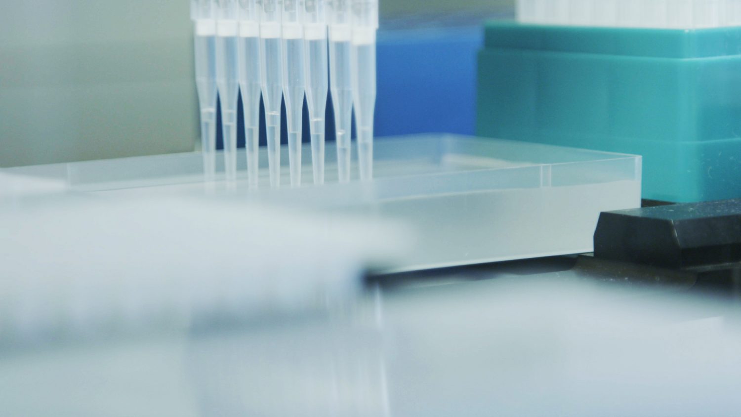 Genotyping and DNA Extractions | John Innes Centre