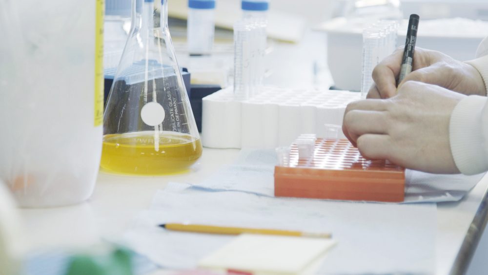 Tuberculosis drug target’s structure to point to new therapies
