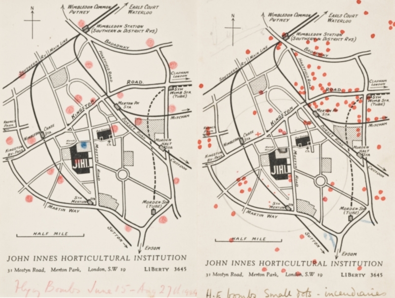 War and peas at JIC | John Innes Centre