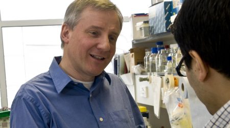 Research Groups | John Innes Centre