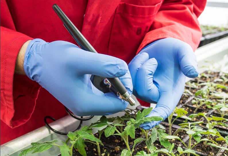 Farming smart with clever bugs | John Innes Centre