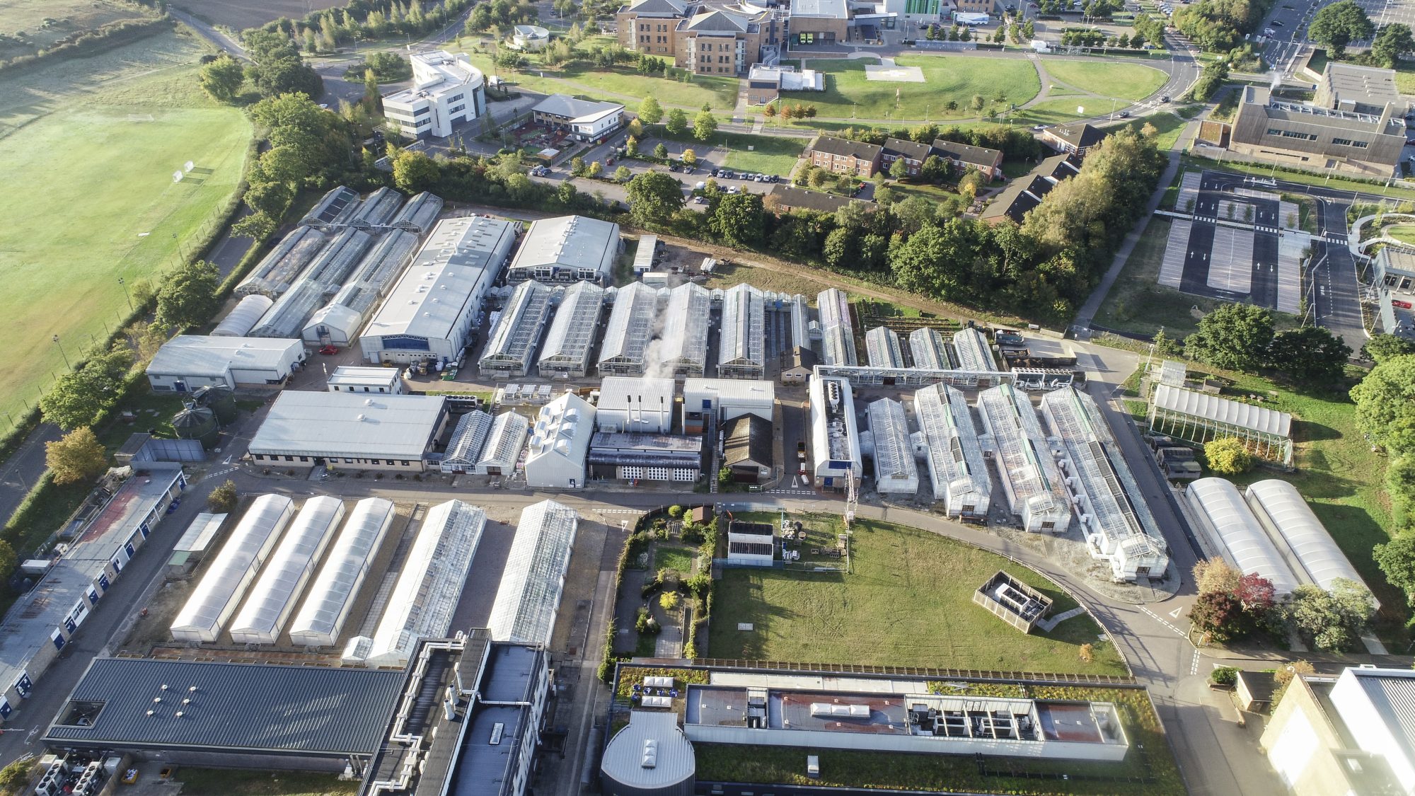 John Innes Centre | Excellence in plant science, genetics and microbiology