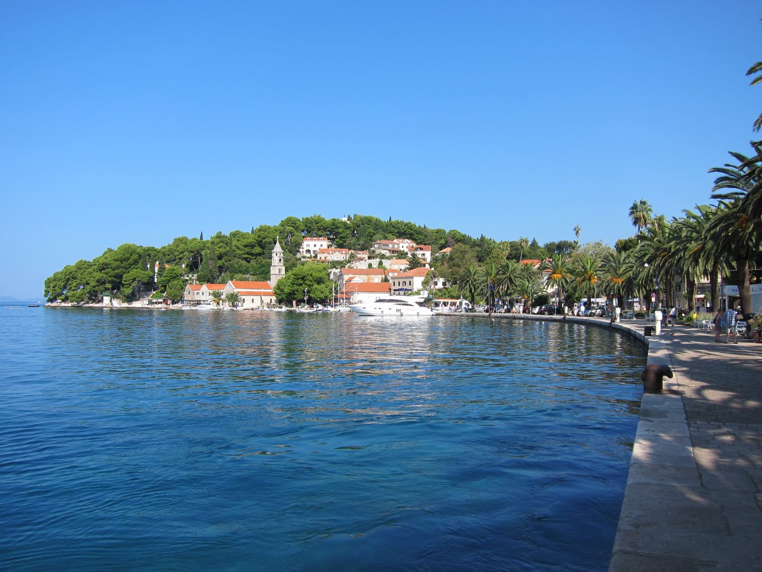 Cavtat | John Innes Centre