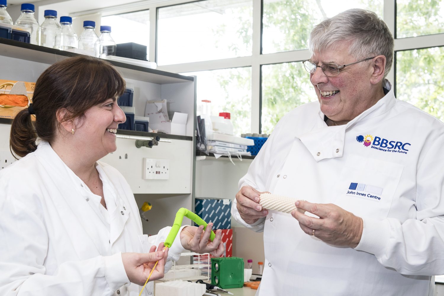 Being a visiting scientist at the John Innes Centre
