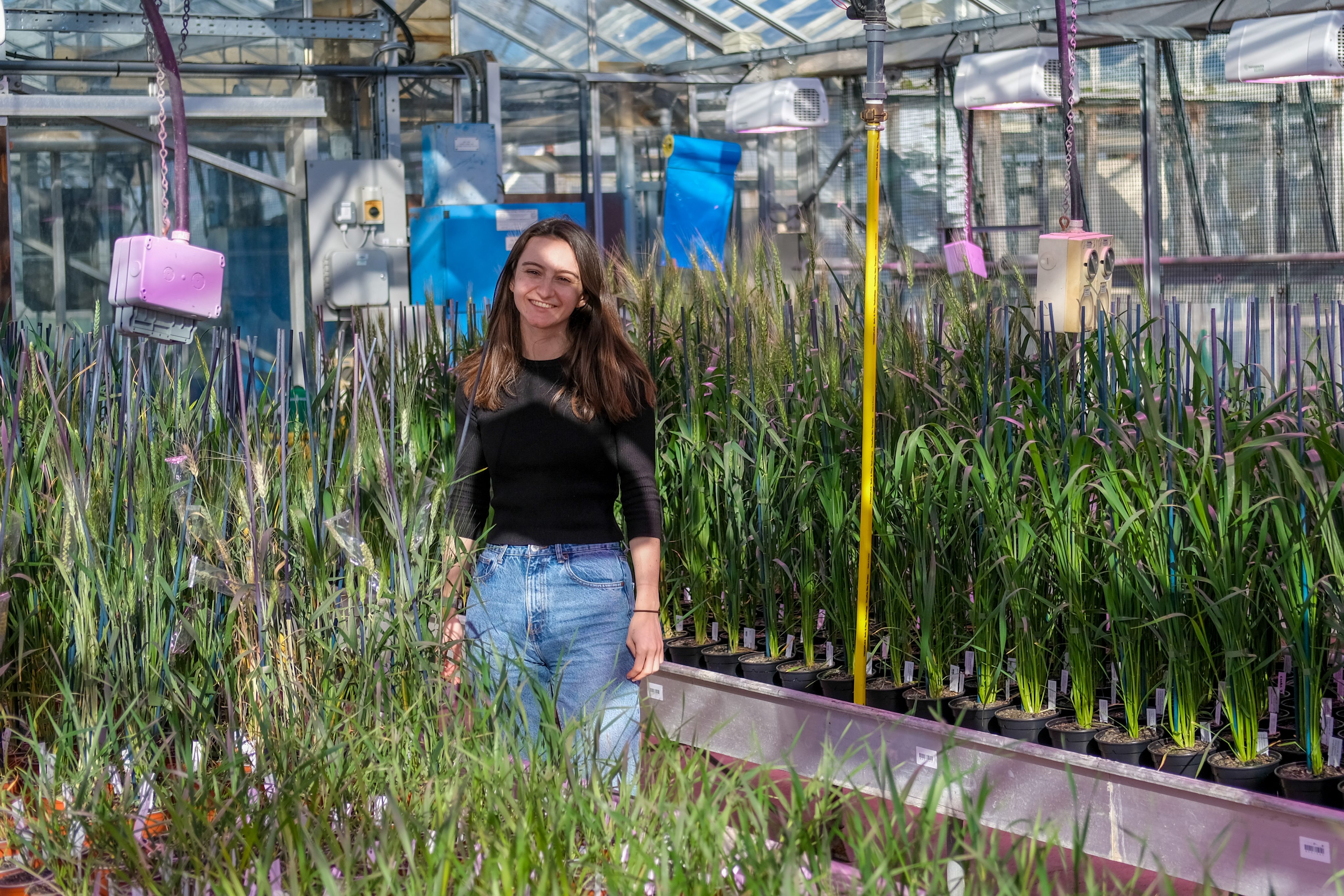 The importance of communication in plants and humans