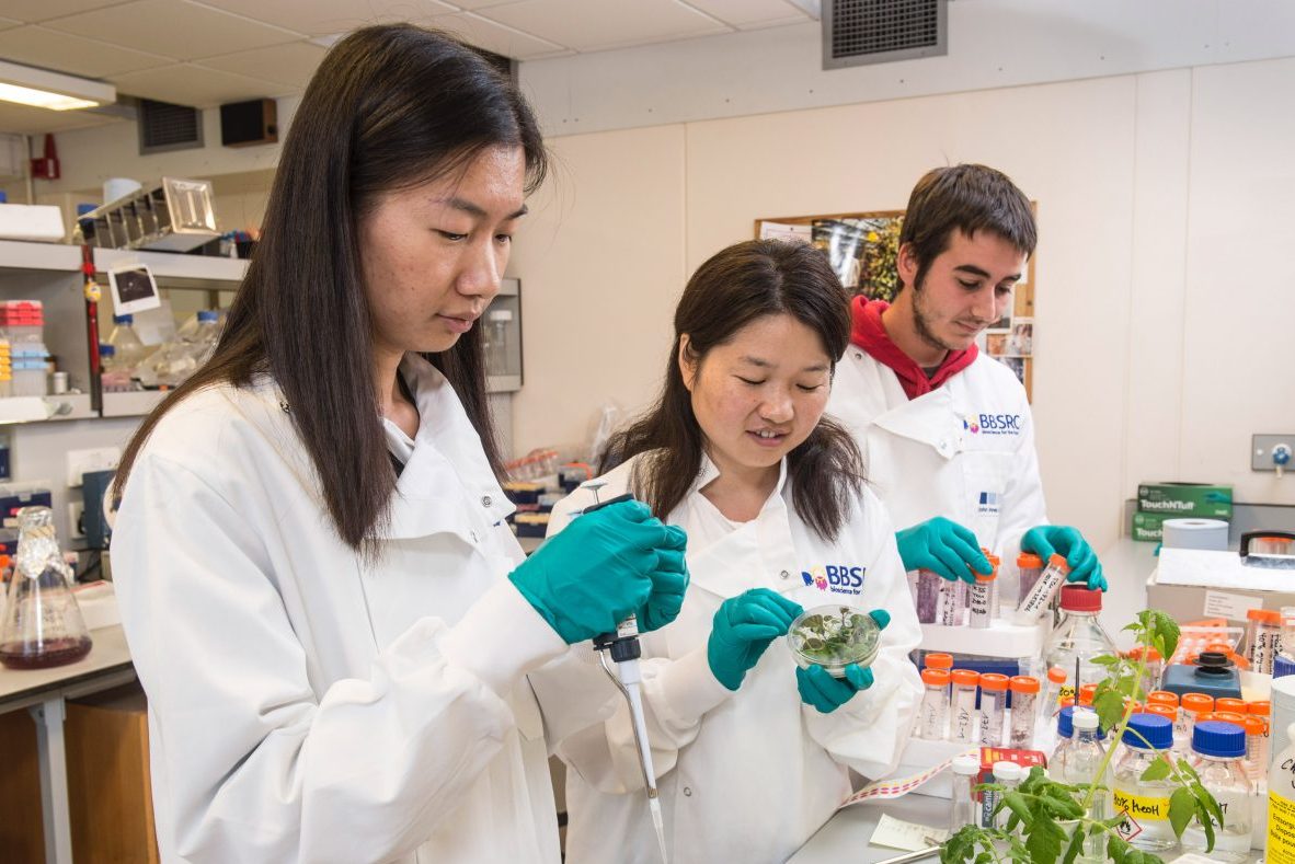 Launch of joint John Innes Centre/Chinese Academy of Sciences Shanghai ...