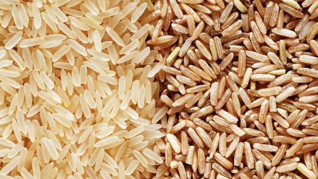 Scientists identify protein which boosts rice yield by 50%
