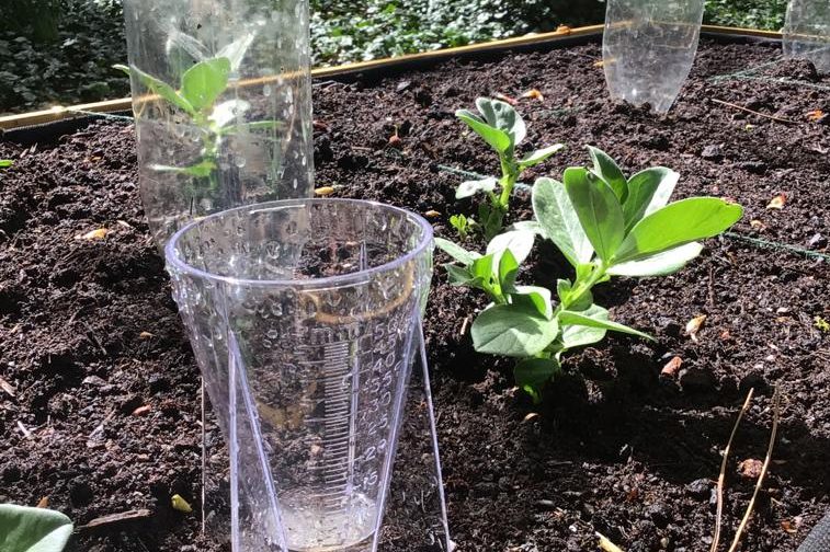 Developing our future climate scientists | John Innes Centre