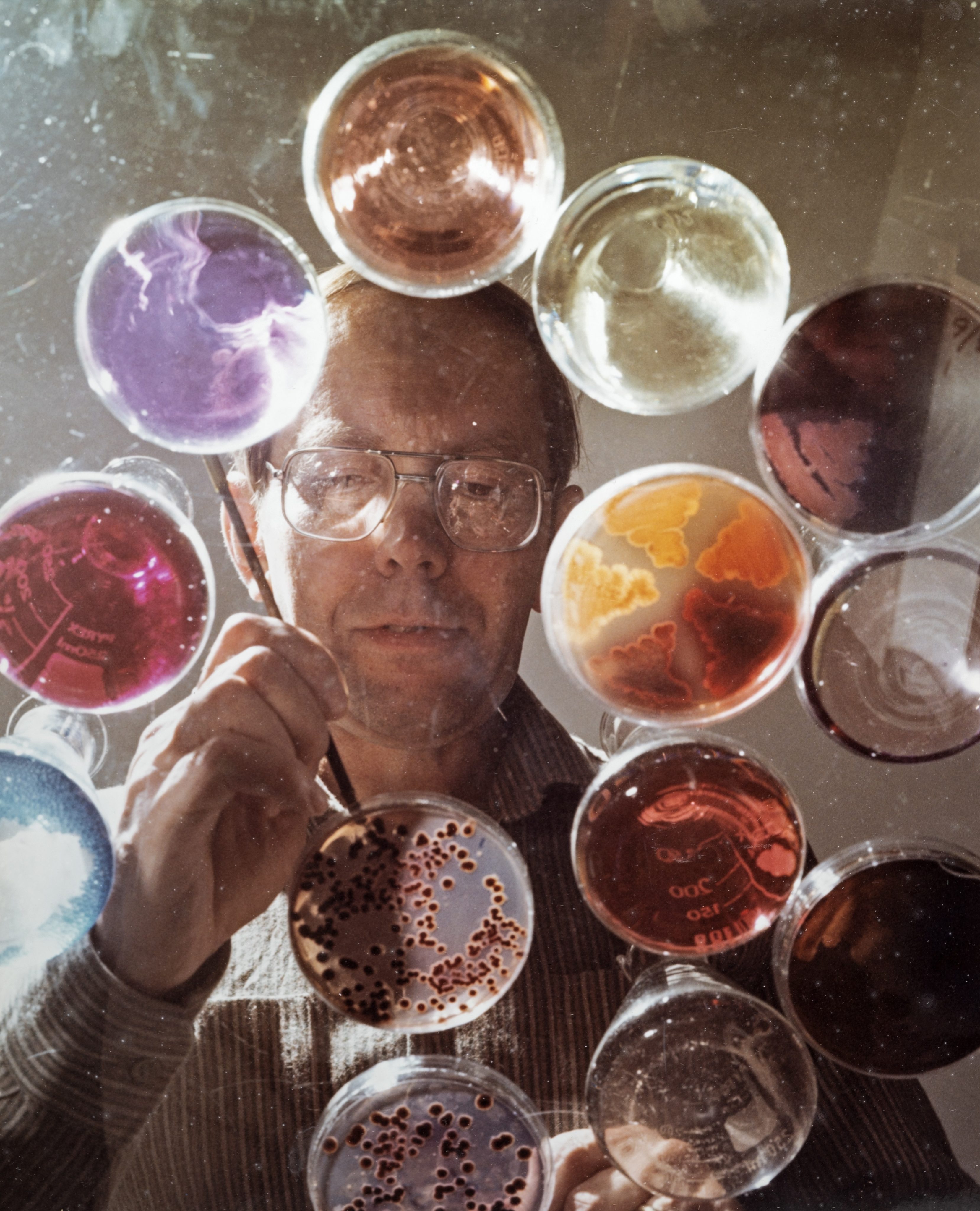 Unnatural Natural Products – the story behind a photo | John Innes Centre
