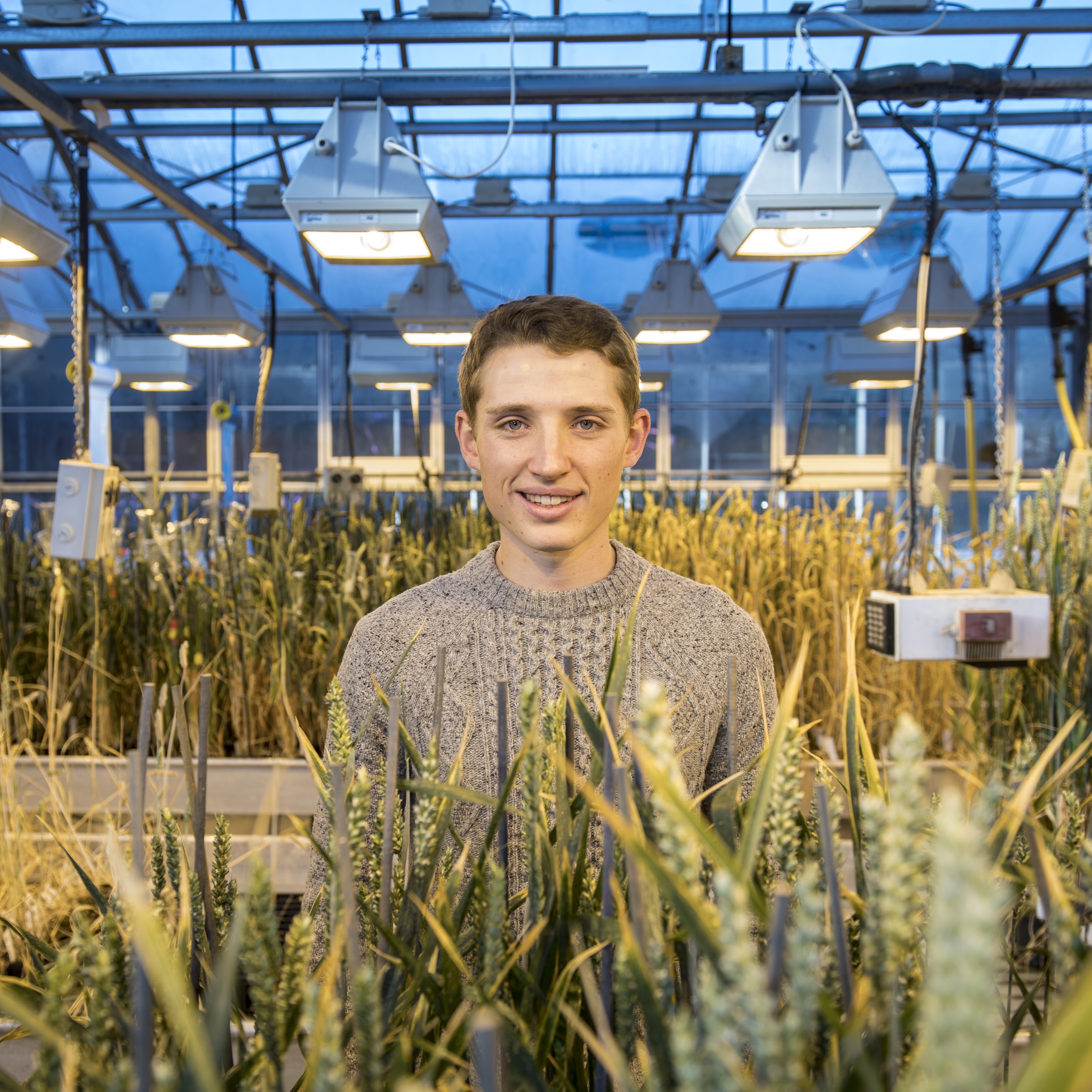 Sam Burrows | John Innes Centre