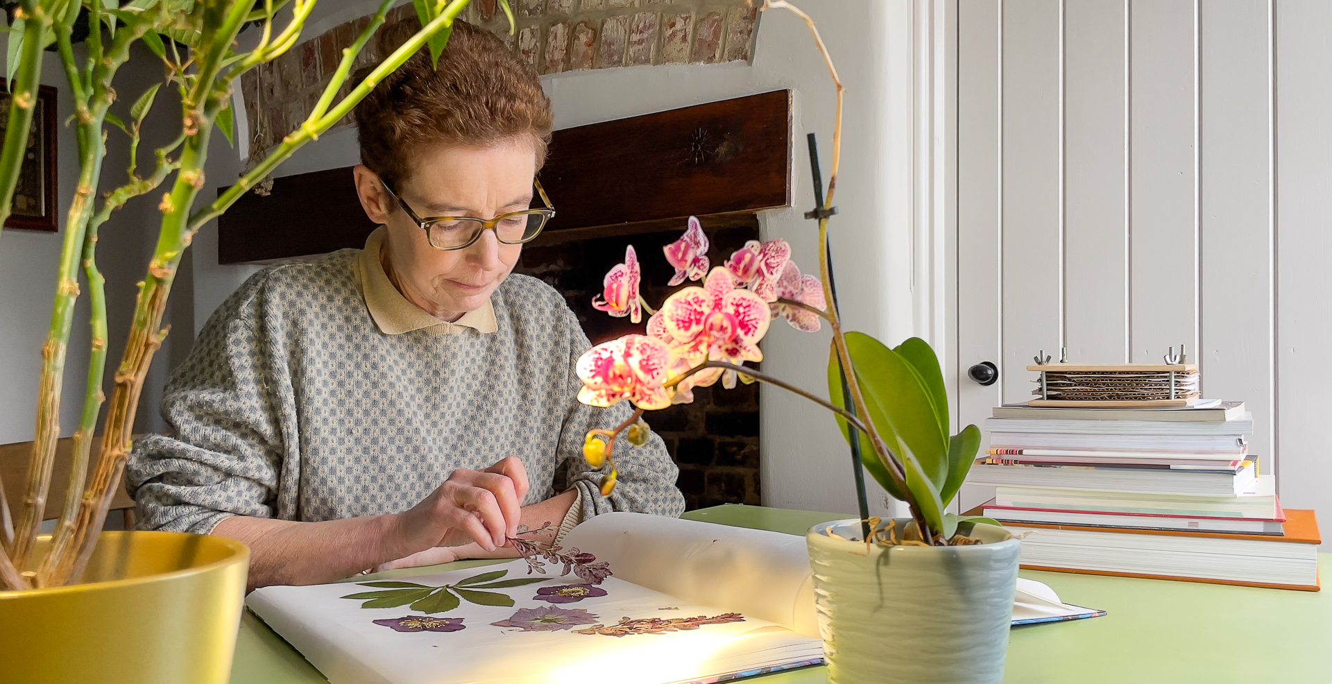 Professor Anne Osbourn – plant scientist and poet receives prestigious ...