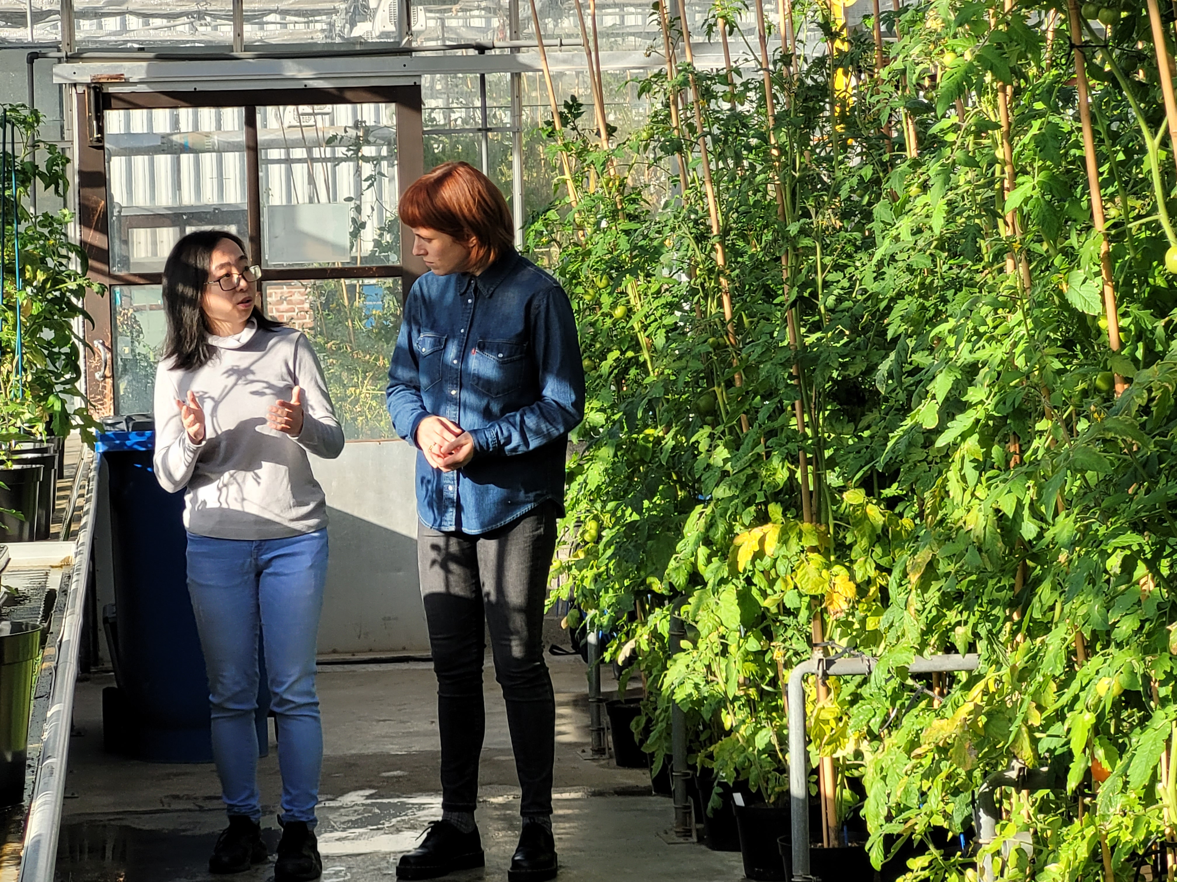 Research Areas (HBio) | John Innes Centre