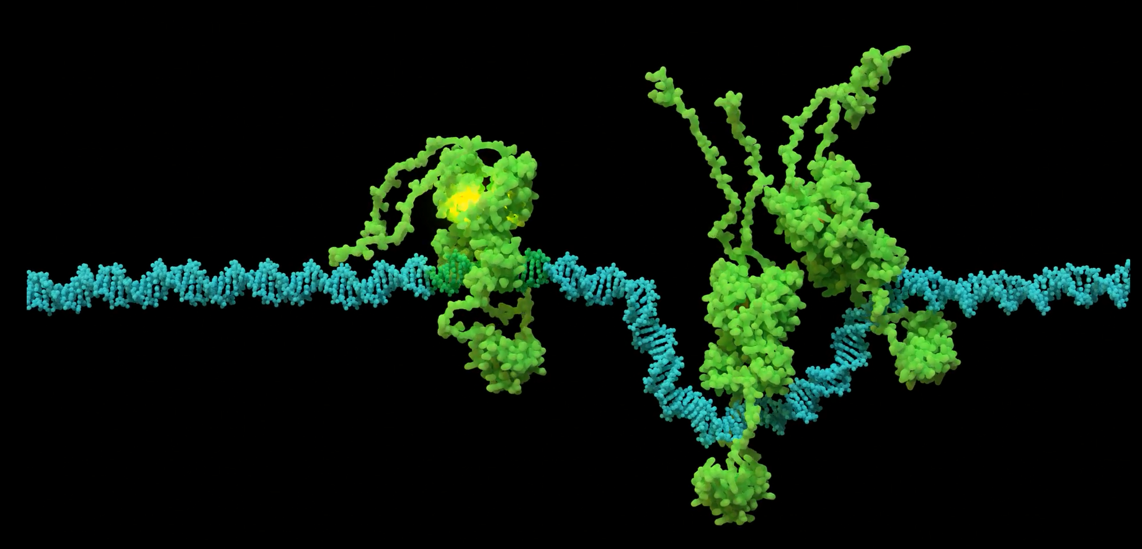 Bioengineering to Produce valuable Bioactive Molecules from Nature ...