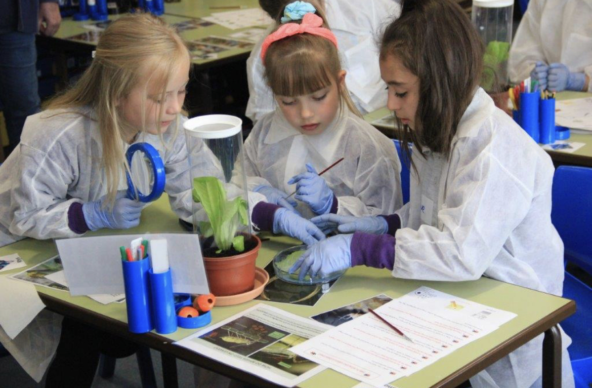 SAW (Science, Art and Writing) Trust: Innovative Science Education for ...