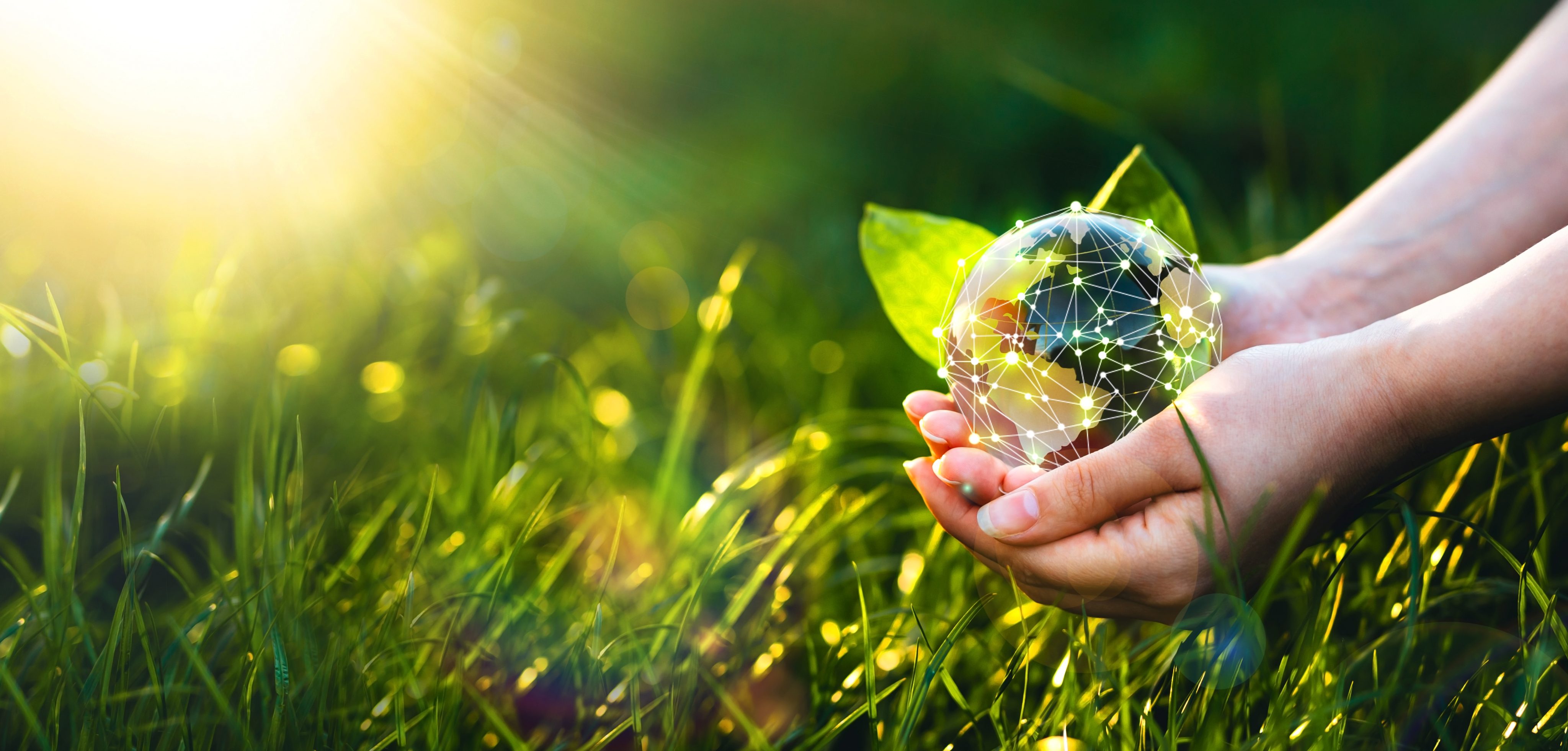 Growing Influence: The John Innes Centre’s impact on the UK and Global ...