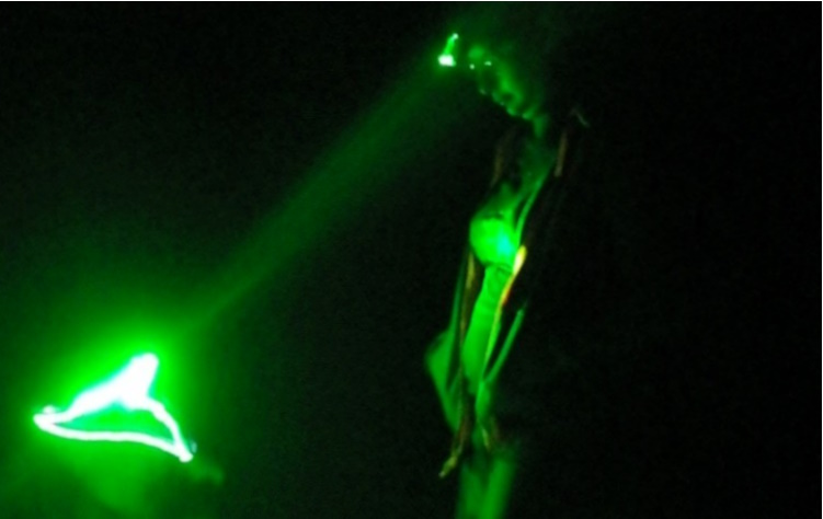 Innovative field experiments shed light on biological clocks in nature ...