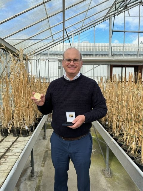 Prestigious award recognises wheat researcher’s outstanding ...