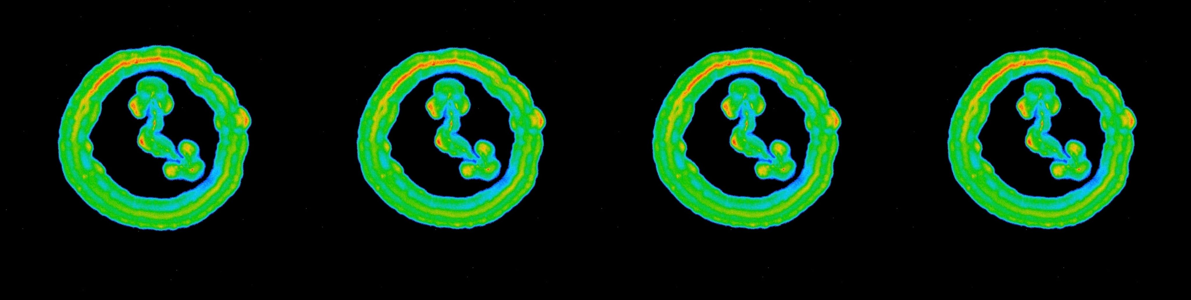 Dreams come true for researchers as they win major European funding to ...