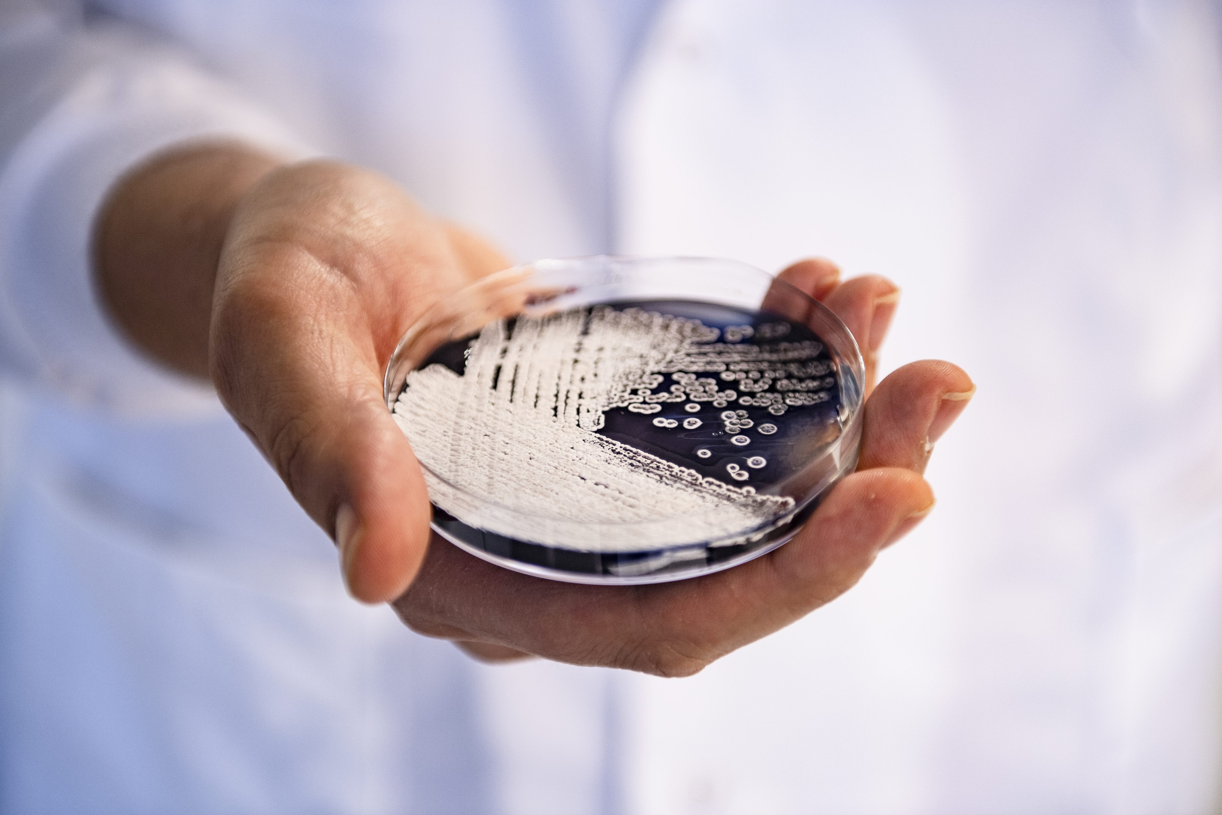 How, and why, do plants and microbes interact? | John Innes Centre