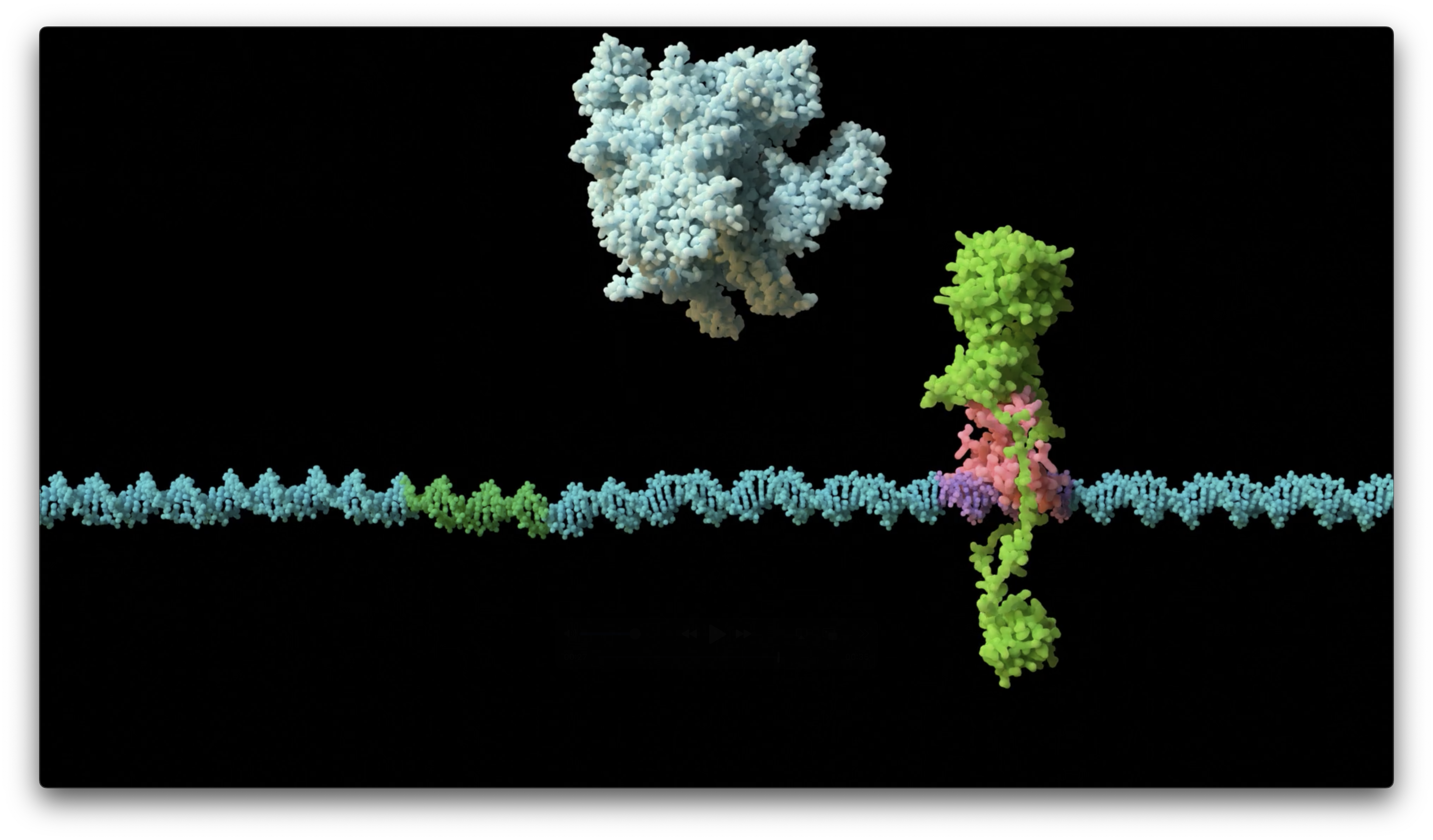 Curiosity-driven experiment helps unravel antibiotic-resistance mystery ...
