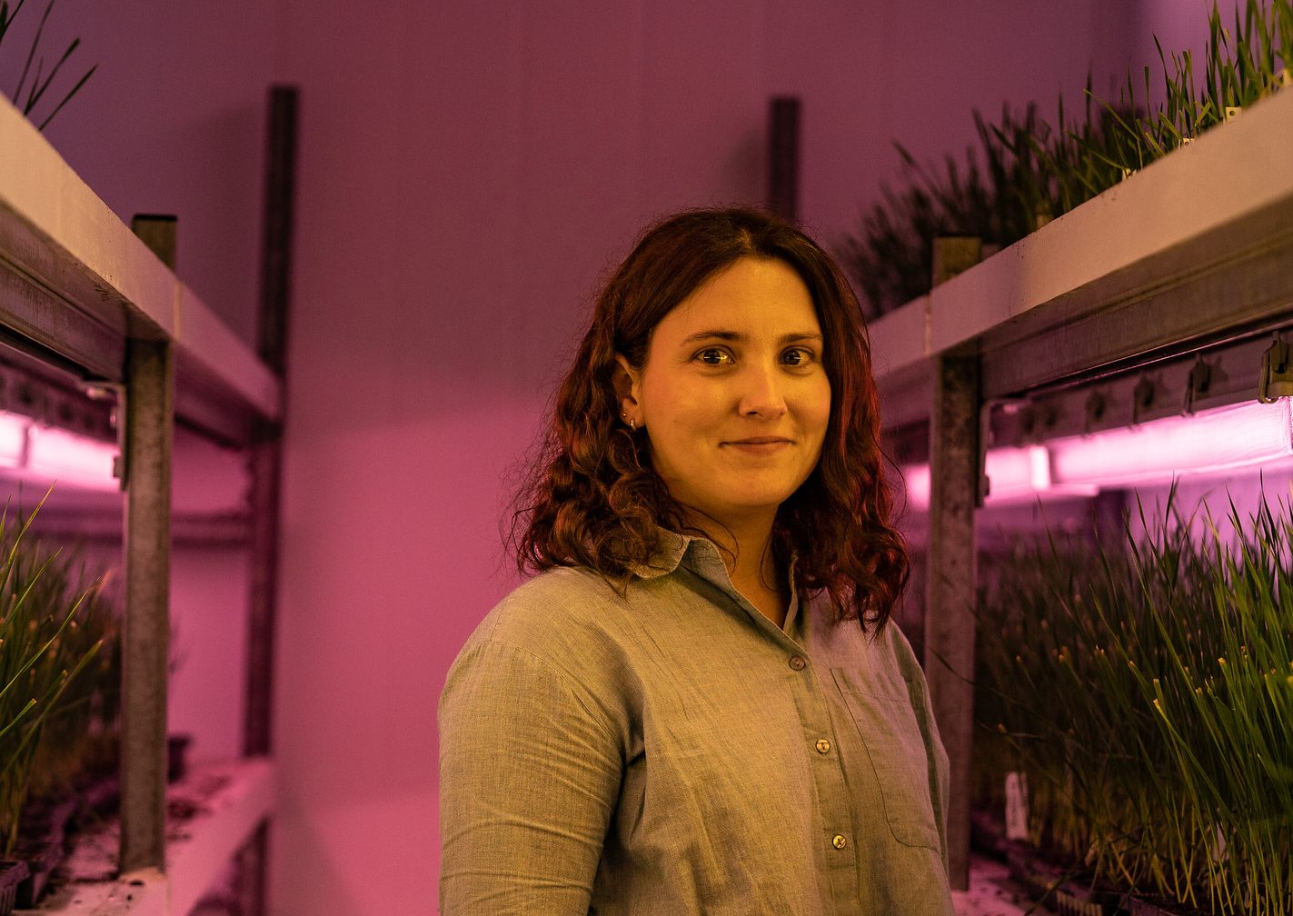 Alumni careers, Dr Rachel Goddard | John Innes Centre